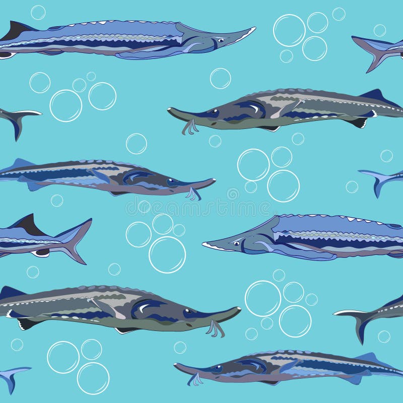 Seamless Pattern of Large Sturgeon Fish on Blue Background Stock Vector ...