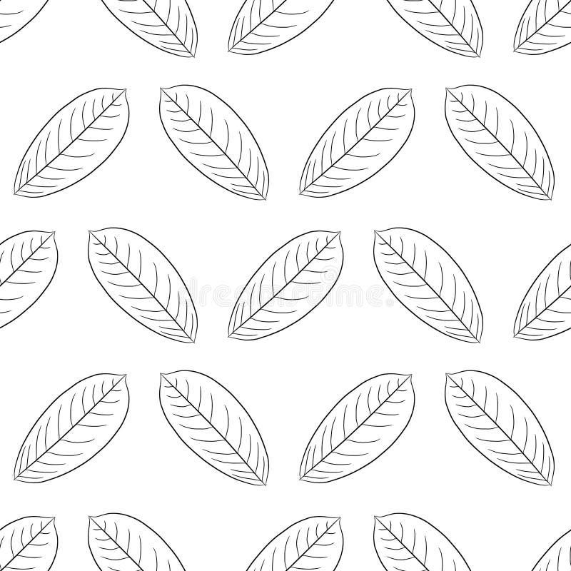 Seamless Pattern from Leaf of Plant from the Contour Black Brush Stock ...
