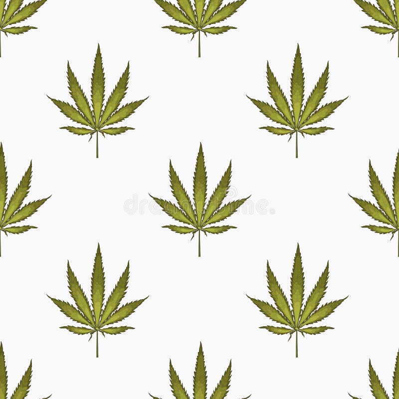 Seamless Pattern with Leaves of Hemp Marijuana Leaf. Cannabis Plant ...