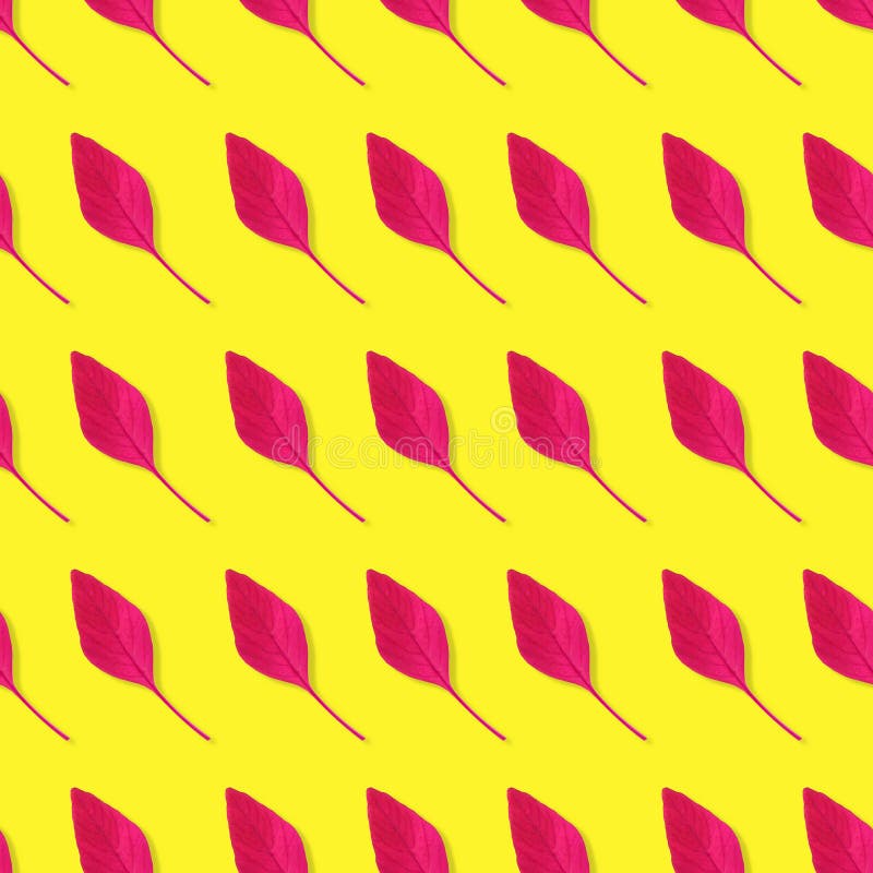 Red Amaranth Stock Illustrations – 619 Red Amaranth Stock Illustrations ...