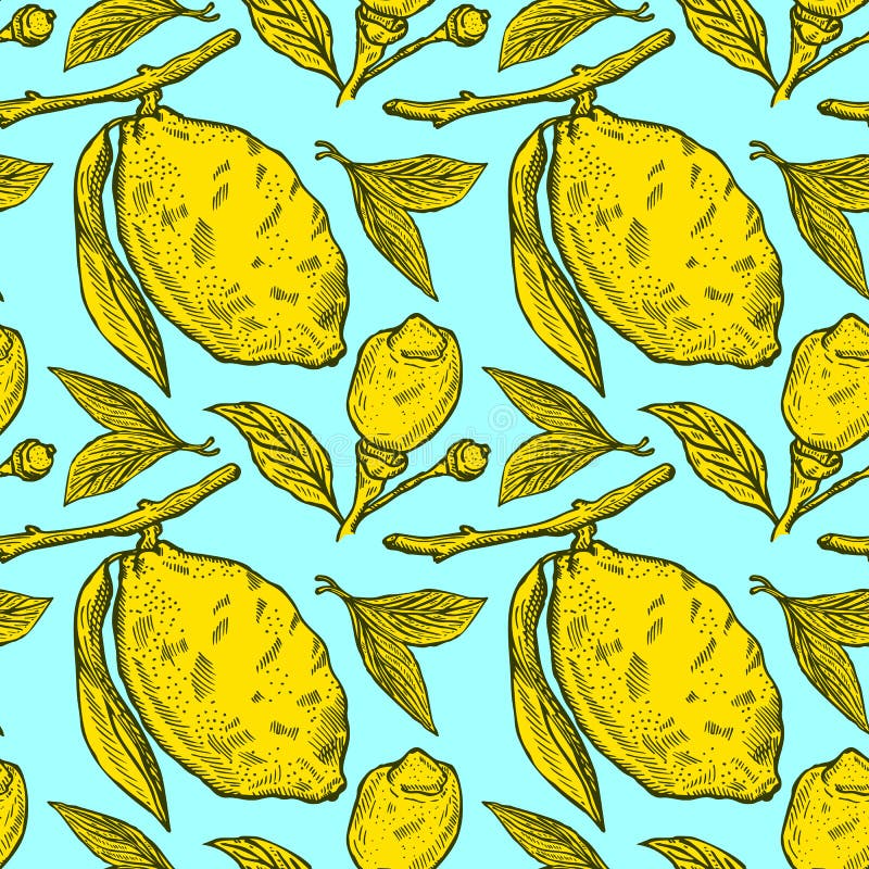 Seamless Pattern Lemons Seamless Pattern. Vintage Background with Whole ...