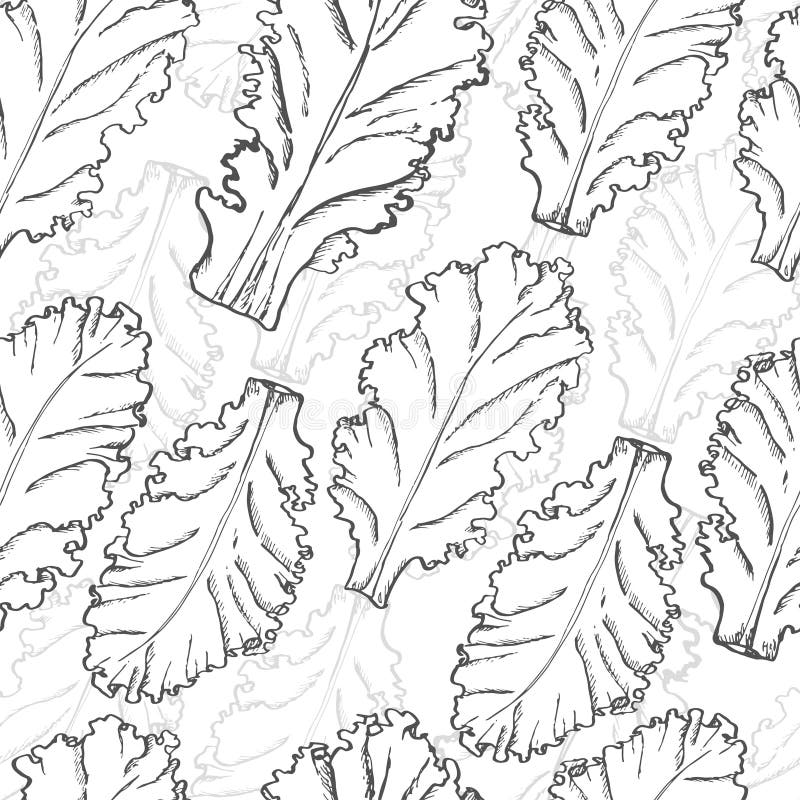 Seamless Pattern with Lettuce Stock Vector - Illustration of cooking ...