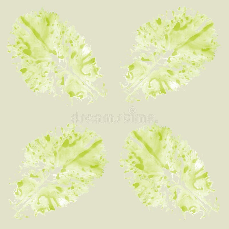 Seamless Pattern with Lettuce Stock Vector - Illustration of food, farm ...