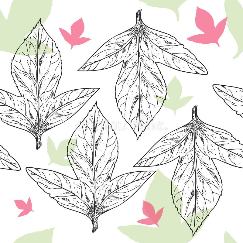 Strip Pattern Colored Autumn Leaves Stock Illustrations – 8 Strip ...