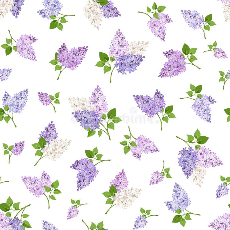 Branches of Lilac Flowers. Vector Illustration. Stock Vector ...