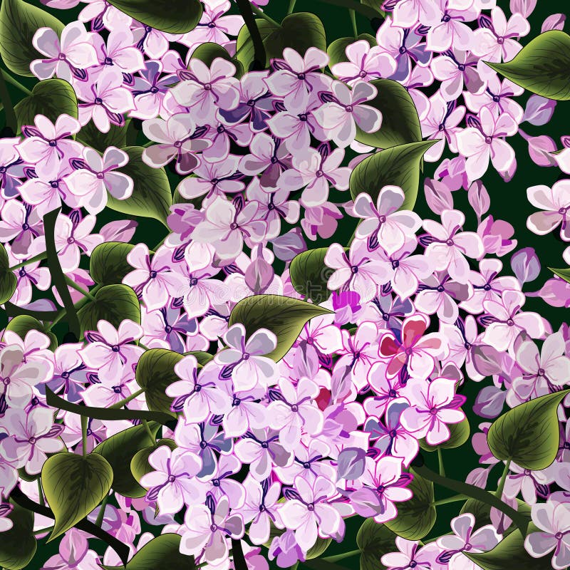 Seamless Pattern with Lilac in Green Stock Vector - Illustration of ...