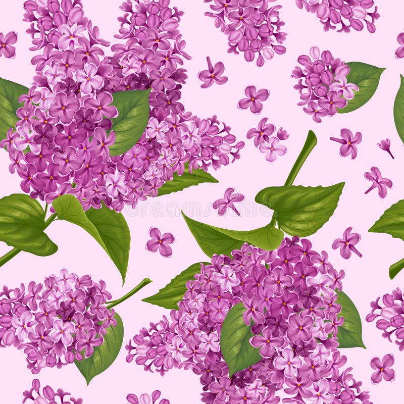Seamless Pattern with Lilac Stock Vector - Illustration of march ...