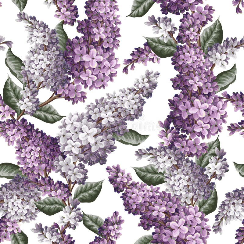 Seamless Pattern with Lilacs. Vector. Stock Vector - Illustration of ...