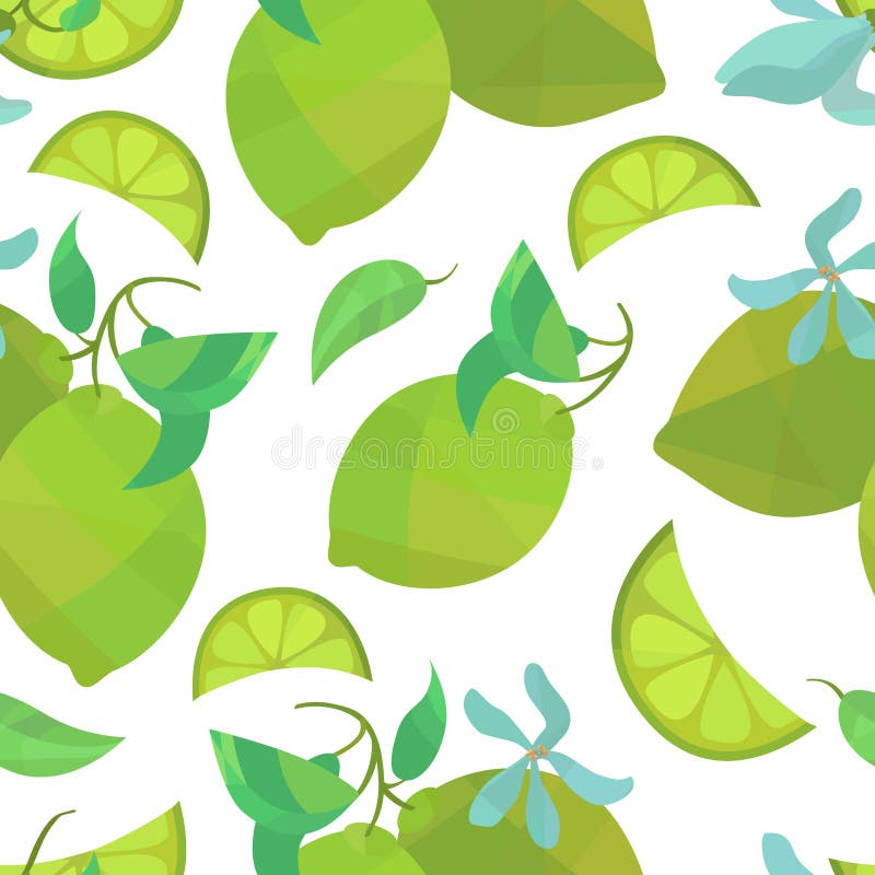 Lime and Flower on White Field Stock Vector - Illustration of line ...