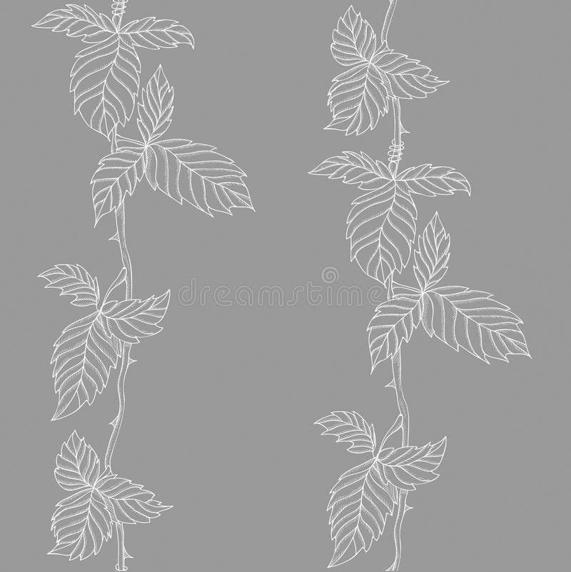 Floral Line Art Vertical Seamless Pattern Stock Vector - Illustration ...