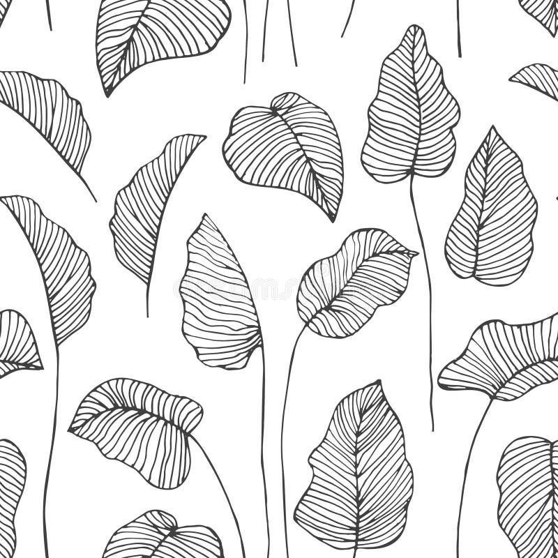 Seamless Pattern, Line Drawing of Contour Leaves on a White Background ...