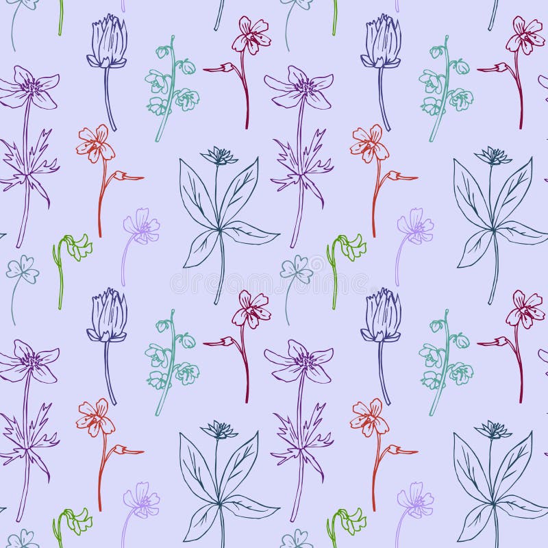 Set of line drawing shells stock vector. Illustration of diving - 44621627