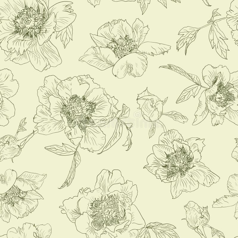 Green Peonies Backdrop Stock Illustrations – 1,234 Green Peonies ...