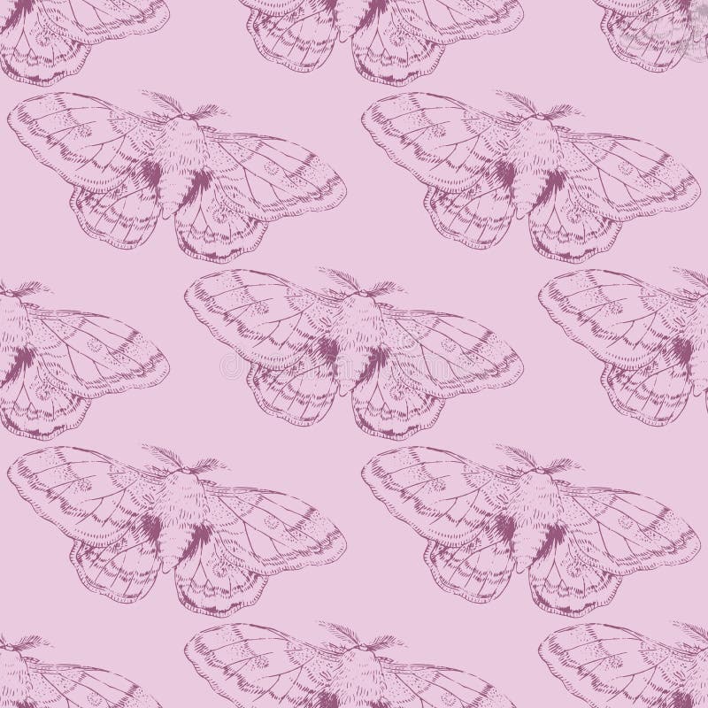 Moth Pattern On Light Pink Seamless Background. Stock Vector ...