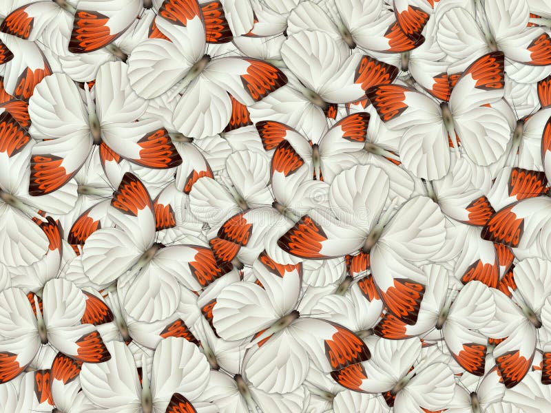 Seamless Pattern with Lot of Different Butterflys Stock Illustration ...