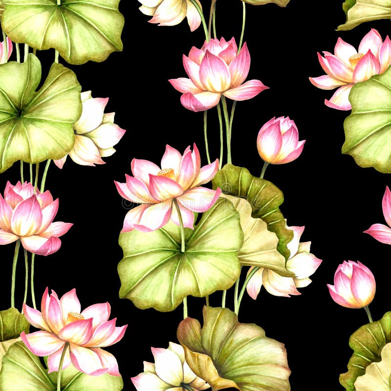 Seamless Pattern with Lotus. Hand Draw Watercolor Illustration. Stock ...