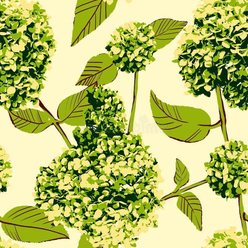 Seamless Pattern Lush Hydrangeas with Leaves Shades of Green Stock ...