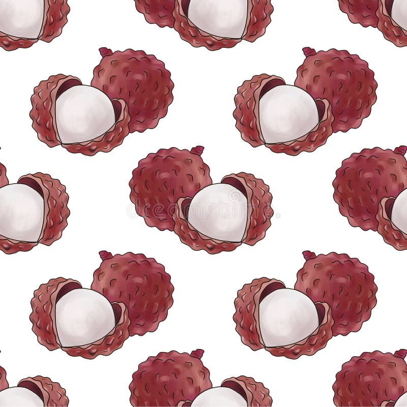 Litchi Drawing Stock Illustrations – 372 Litchi Drawing Stock ...