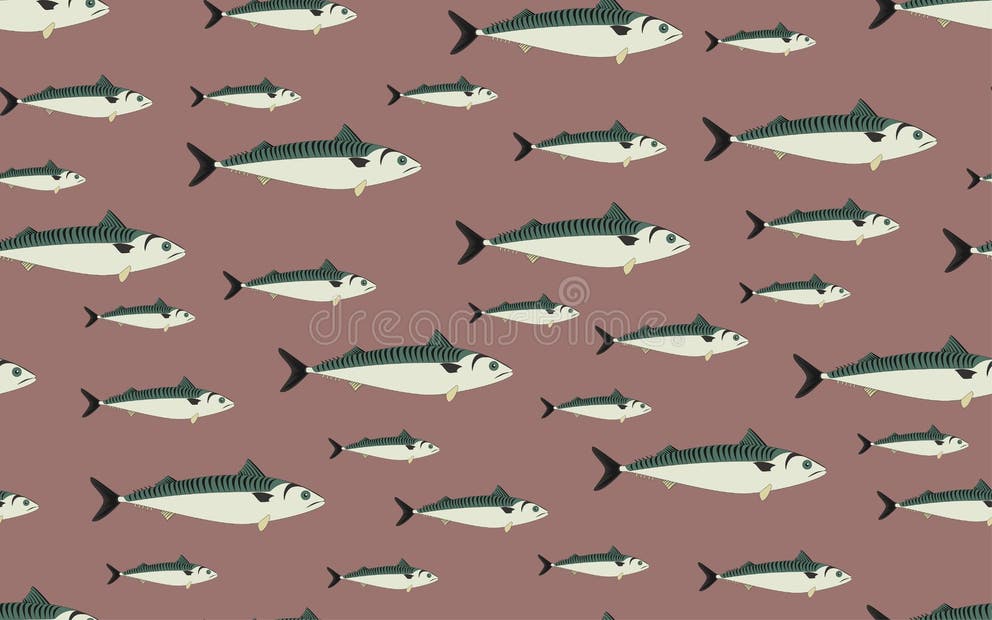 Seamless Pattern Mackerel Fish Stock Vector - Illustration of drawing ...