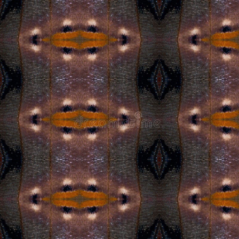 Nawab Stock Illustrations – 68 Nawab Stock Illustrations, Vectors ...