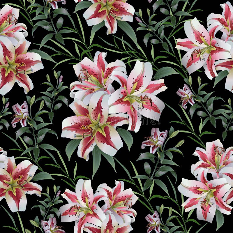Seamless Pattern from Magnificent Olympic Lilies. Black Background ...