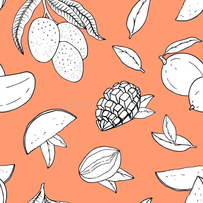 Seamless Pattern with Mango. Vector Line Drawing Stock Vector ...