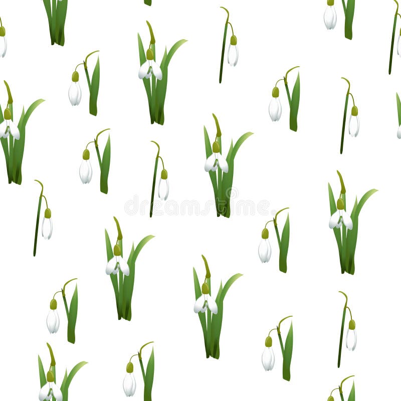 Seamless Pattern with Many Snowdrops Flowers with Green Stems and ...