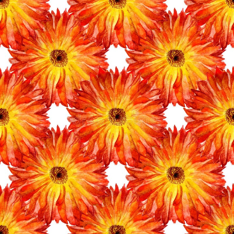 Seamless Pattern with Marigold Stock Illustration - Illustration of ...