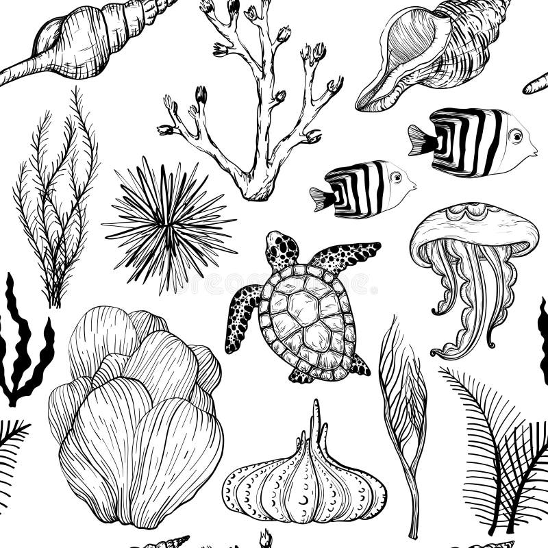 Set of Marine Hand Drawn Corals. Black and White Stock Vector ...