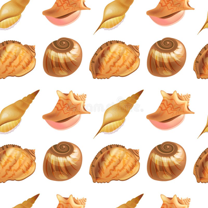 Seamless Pattern with Marine Shells. Endless Texture for Your Design ...