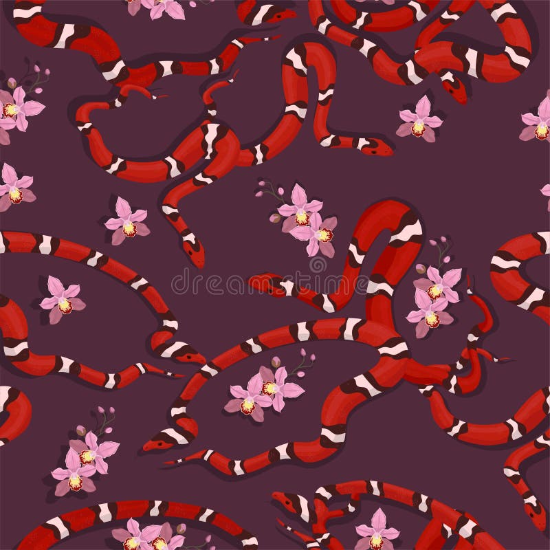 Milk Snakes Stock Illustrations – 86 Milk Snakes Stock Illustrations ...