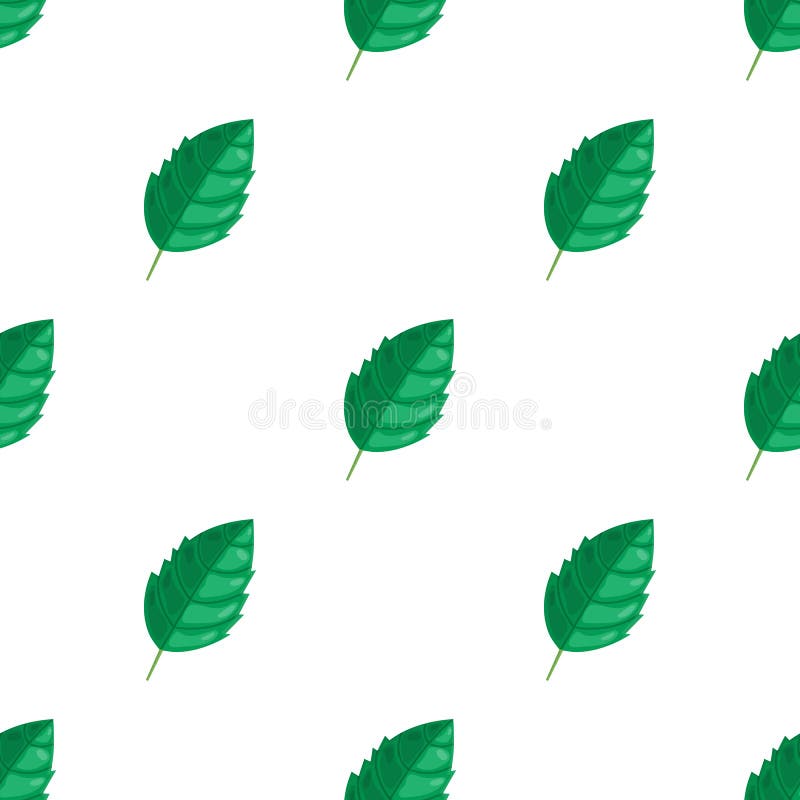 Mint Cartoon Green Leaves Isolated on White Background. Nature Logo ...