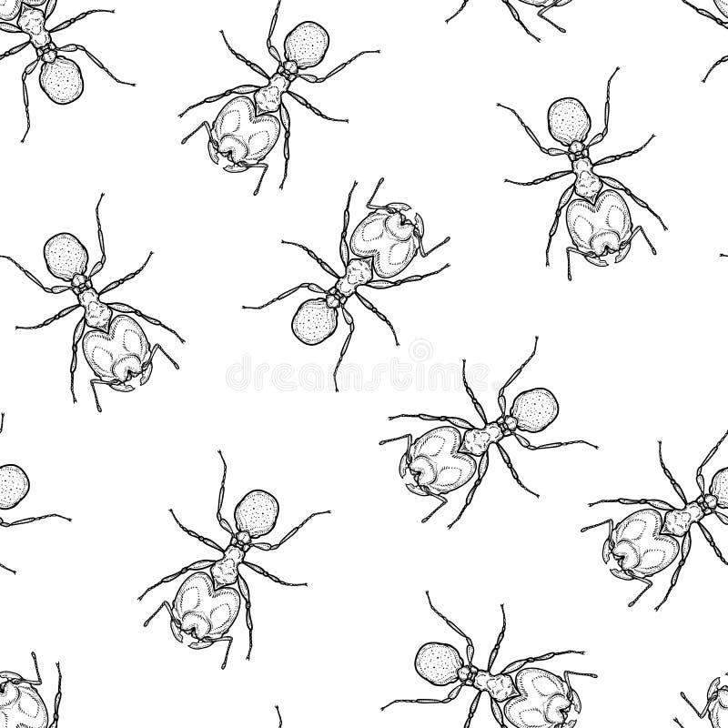 Seamless Pattern of Monochrome Ants Illustration. Vector Illustration ...