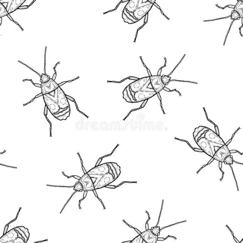 Seamless Pattern of Monochrome Bugs Illustration. Vector Illustration ...