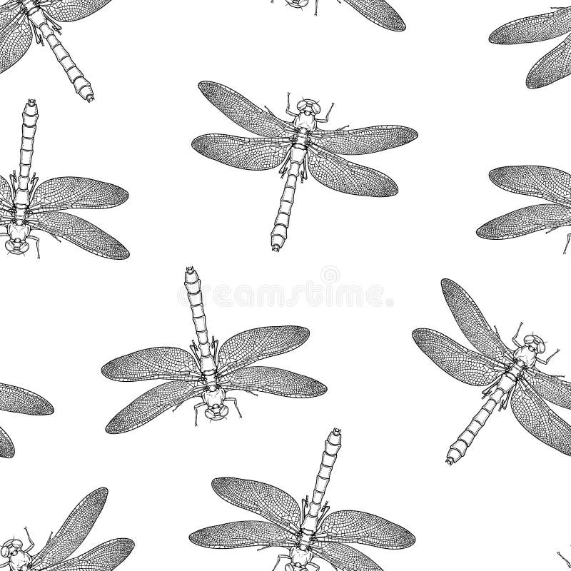 Seamless Pattern of Monochrome Dragonfly Illustration. Vector ...
