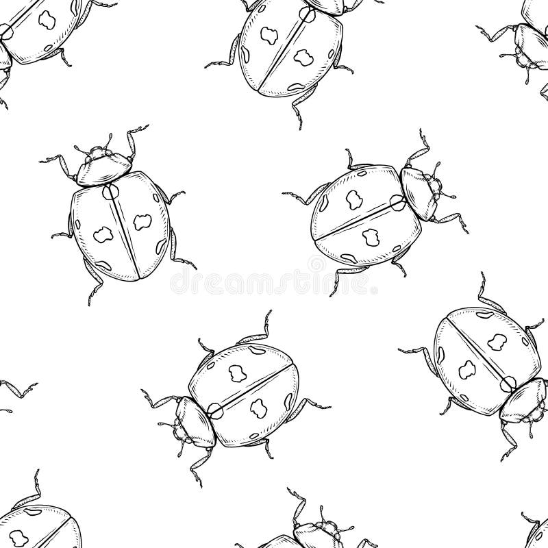 Seamless Pattern of Monochrome Ladybugs Illustration. Vector ...