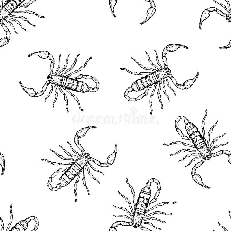Seamless Pattern of Monochrome Scorpions Illustration. Vector ...