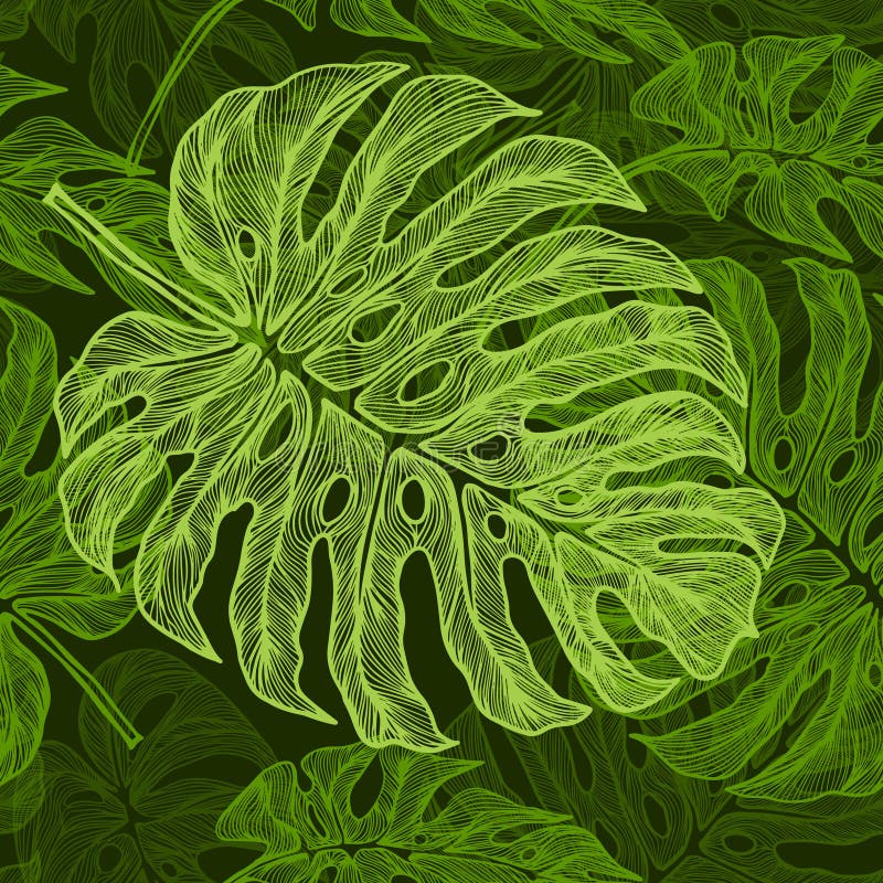 Seamless Pattern Monstera Leaves. Vector Illustration Stock ...