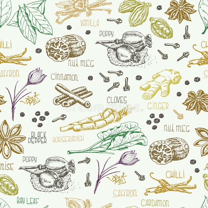 Seamless Pattern with Multi-colored Spices Stock Illustration ...