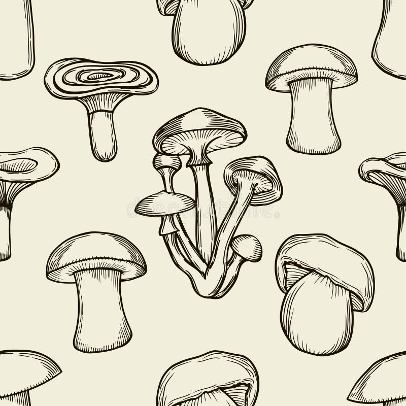Unusual Mushrooms Line Art Stock Illustrations – 46 Unusual Mushrooms ...