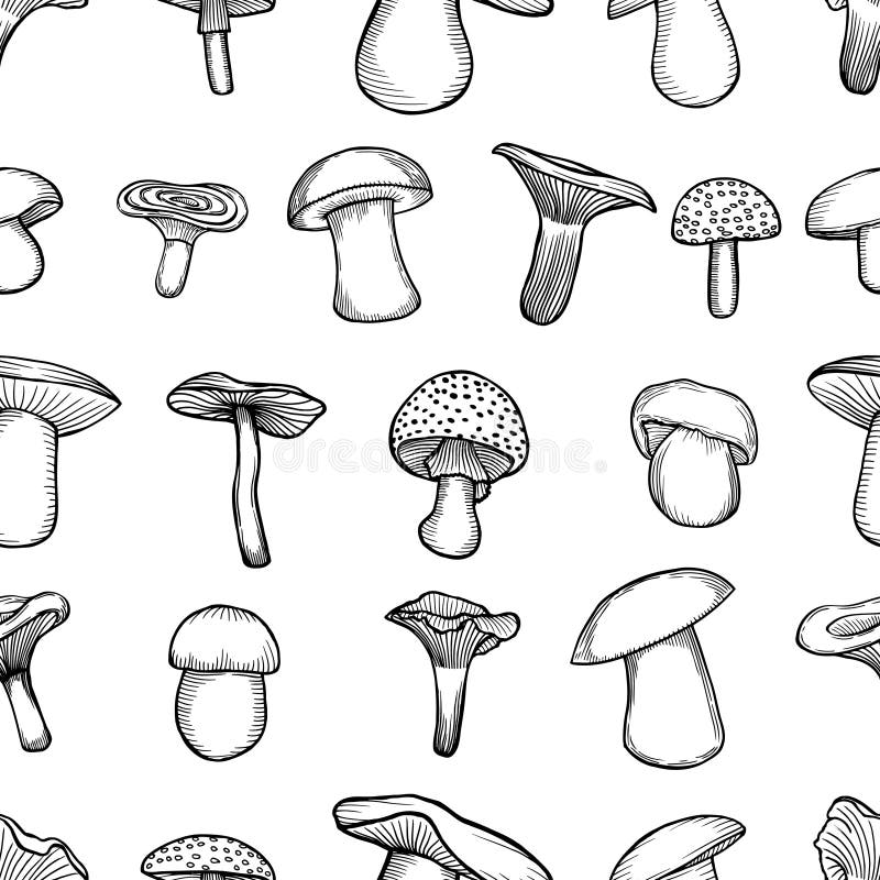 Unusual Mushrooms Line Art Stock Illustrations – 49 Unusual Mushrooms ...