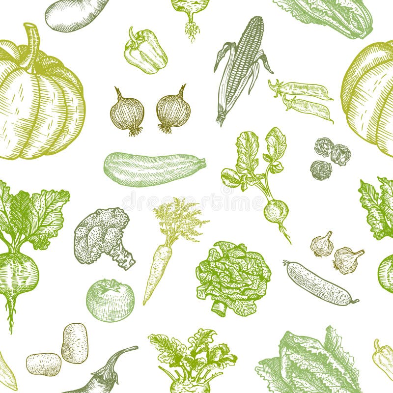 Seamless Pattern of Natural Vegetables. Vector Hand Drawing. Stock ...