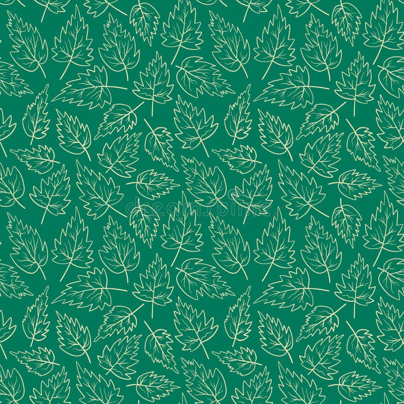 Seamless Pattern with Nettle Leaves. Stock Vector - Illustration of ...