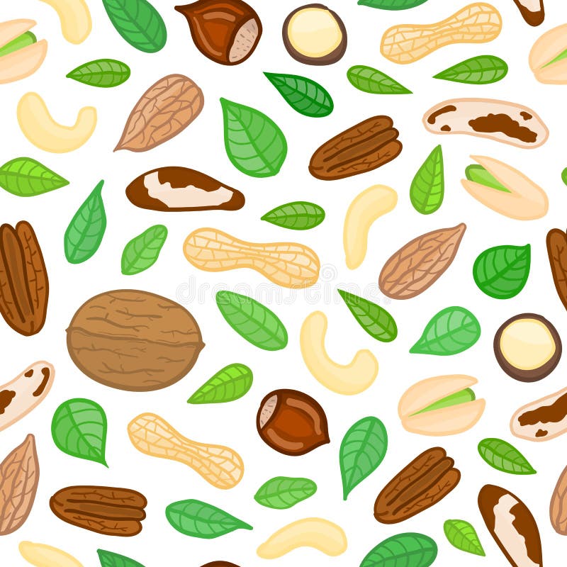 Seamless Pattern with Nuts. Stock Vector - Illustration of green ...