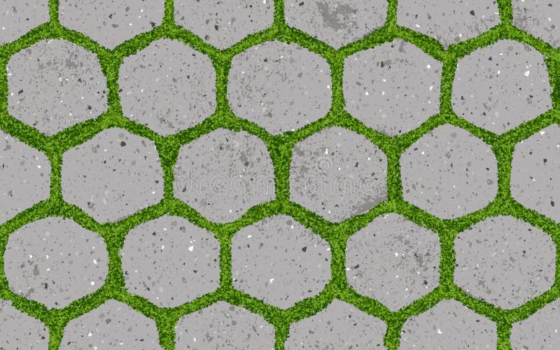 Footpath Texture With Grass