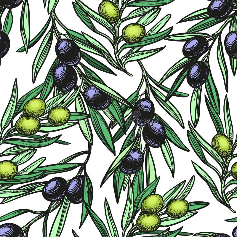Seamless Pattern with Olive Branch Stock Vector - Illustration of olive ...