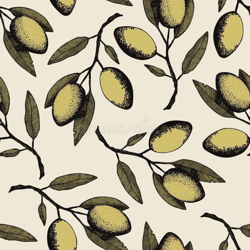 Seamless Pattern with Olive Branch. Ink Hand Drawn Olives Background ...