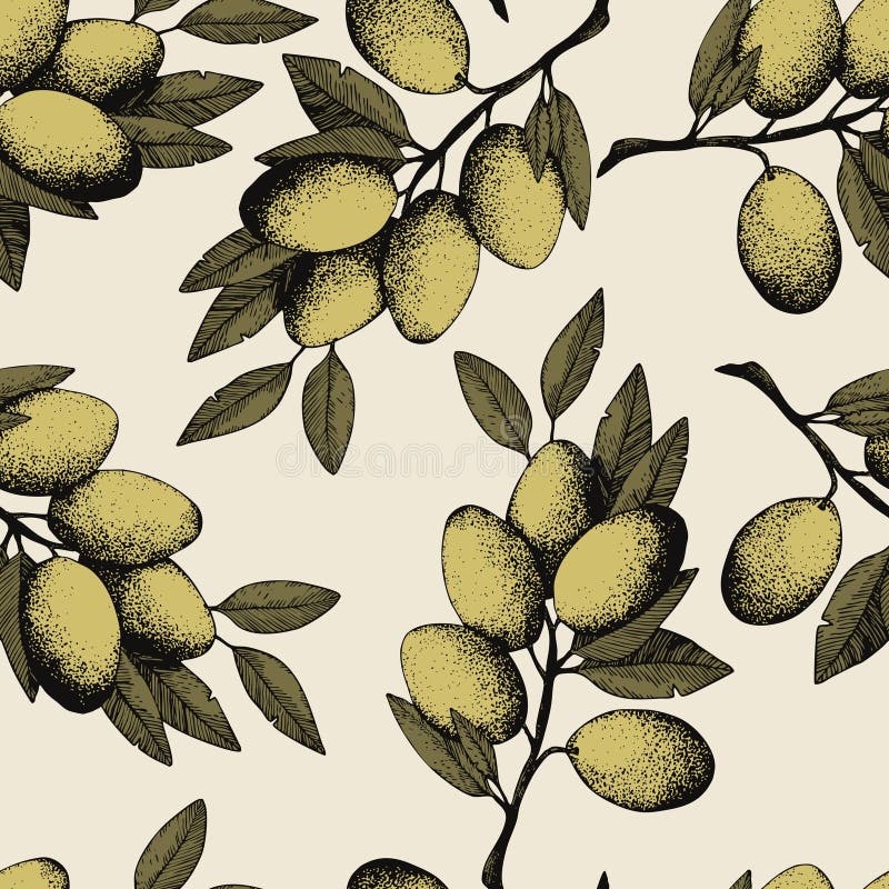 Seamless Pattern with Olive Branch. Ink Hand Drawn Olives Background ...