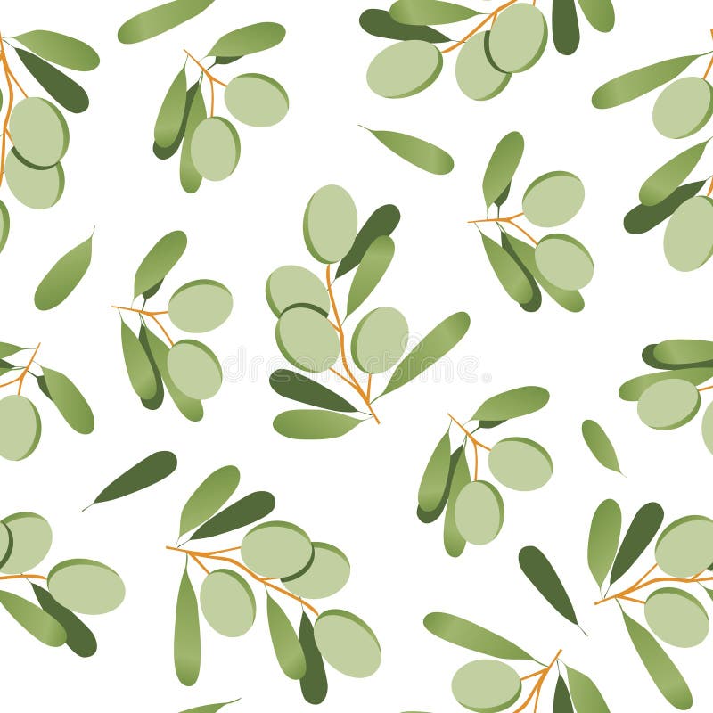 Seamless Pattern with Olives Isolated on White Background, Flat Vector ... Seamless Pattern with Olives Isolated on White Background, Flat Vector ...