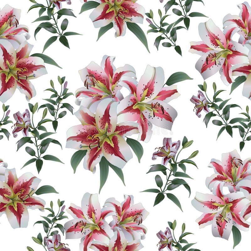Olympic Lilies Stock Illustrations – 5 Olympic Lilies Stock ...